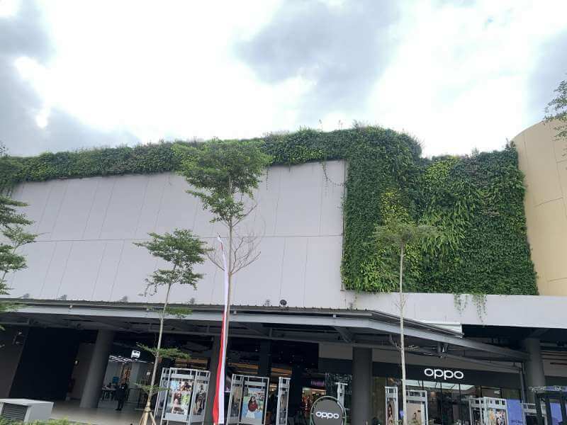 Vertical Garden @Uptown Mall BSB | Paritama